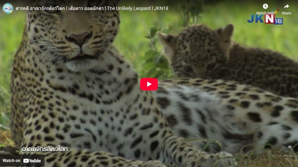 JKN18-EN - JKN Global Group